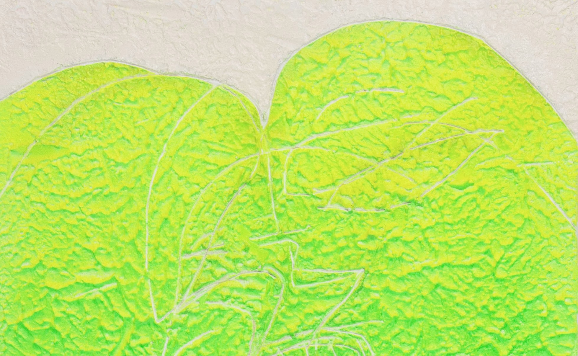 最高のエネルギー循環ポイントとなるようなイメージで。安野谷昌穂が個展「Play Portal Point」をart space"traffic"にて開催neol.jp | neol.jp